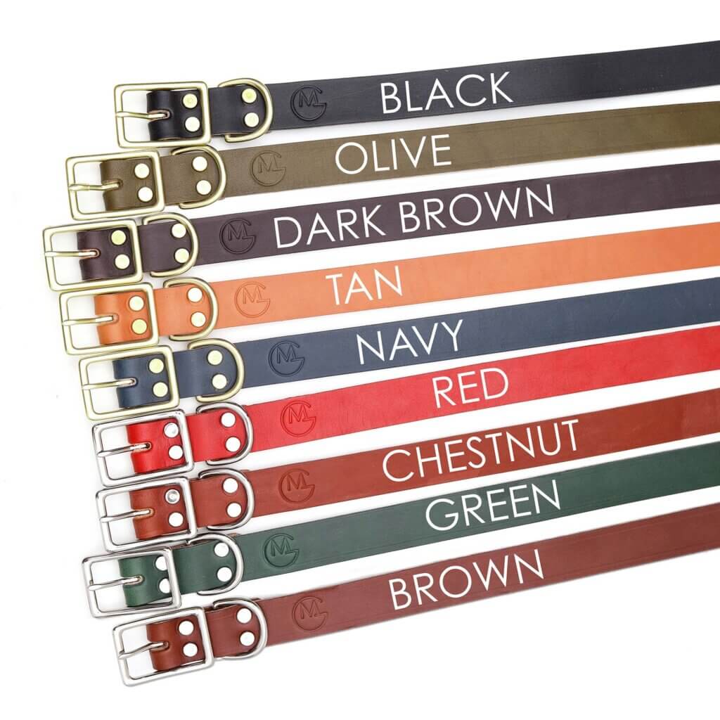 Designer Dog Leashes | Pattern, Material & Size Options