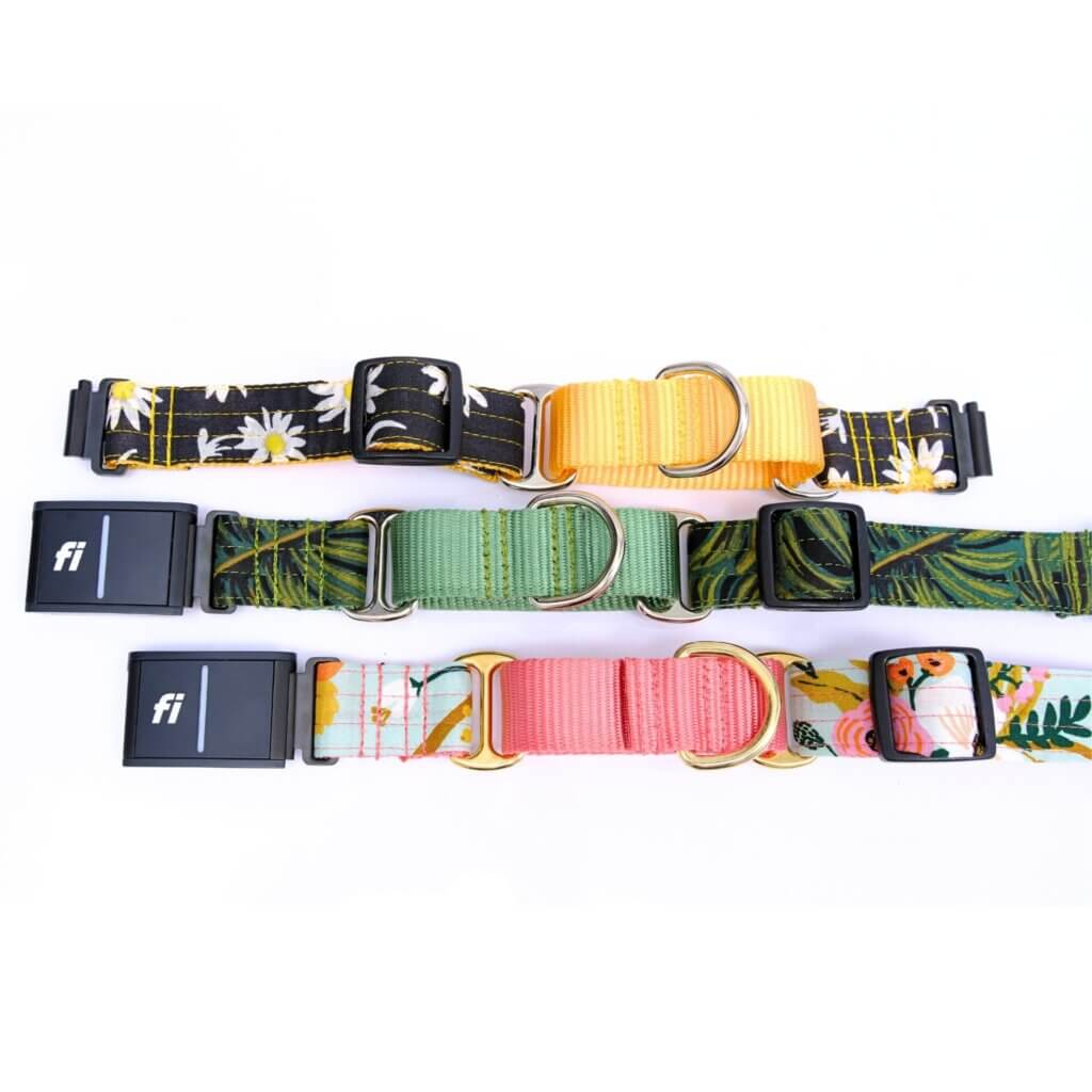 Cotton Voile Martingale Dog Collar | Fi Compatible