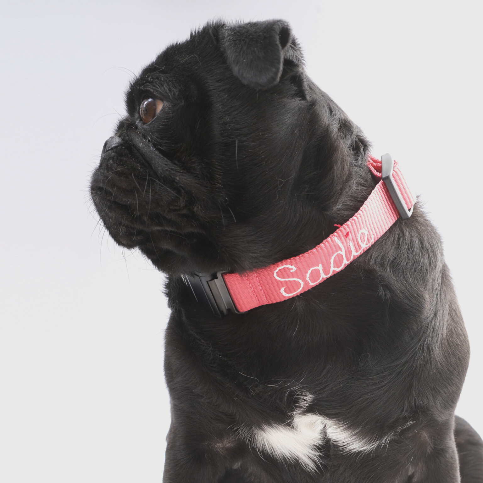 Embroidered Dog Collars - Handmade by Mimi Green