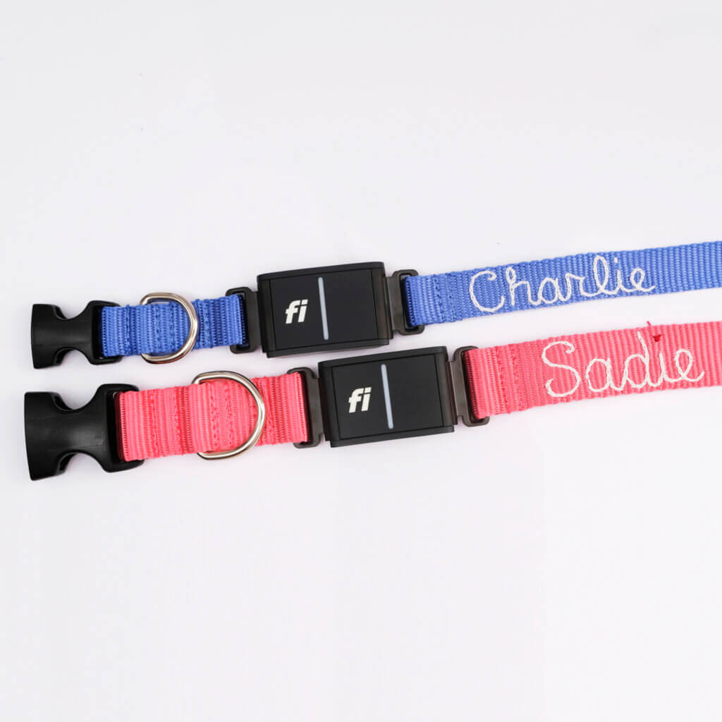 Fi Compatible Nylon Dog Collar with Hand Embroidered Name