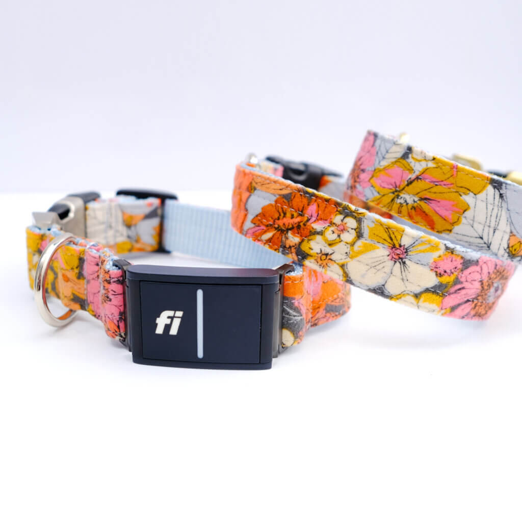 'Autumn' Floral Flannel Fi Compatible Dog Collar