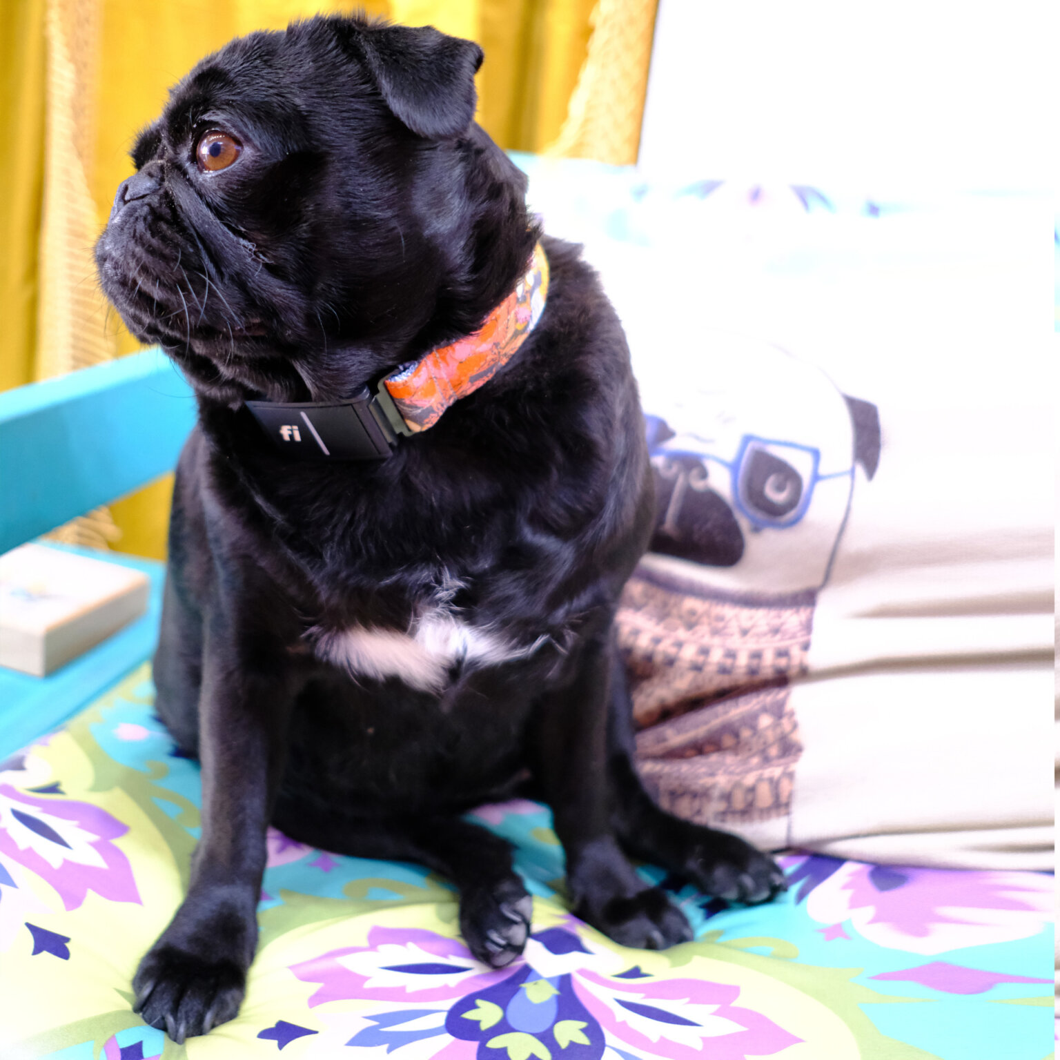 Fabric Fi Compatible Collars - Handmade By MimiGreen