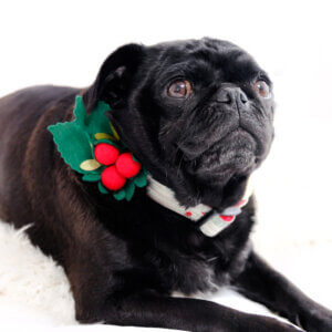 Holly Holiday Dog Collar Accessory Handmade in the USA