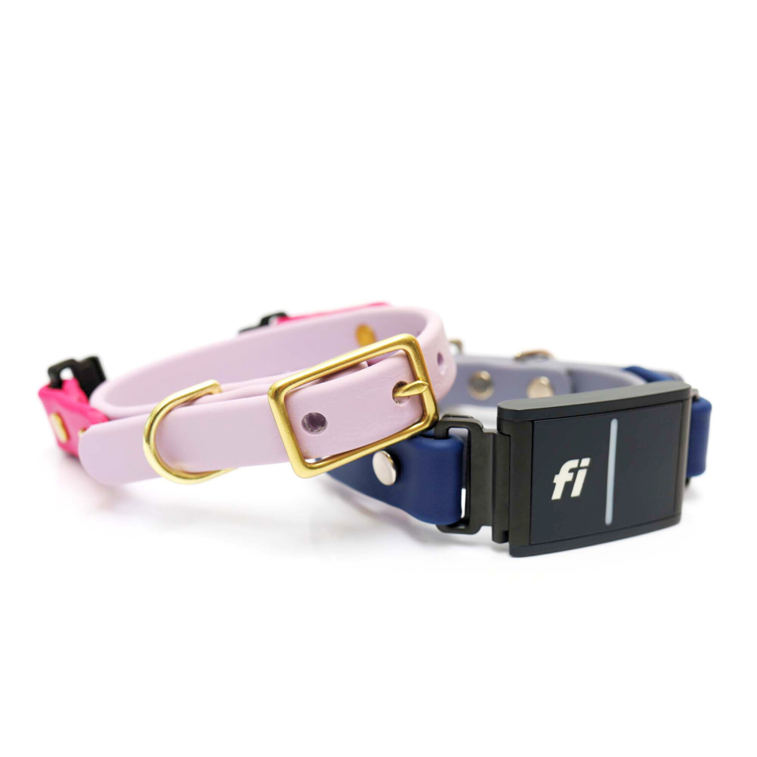 Waterproof Biothane Dog Collar | Fi Compatible | Small Dogs