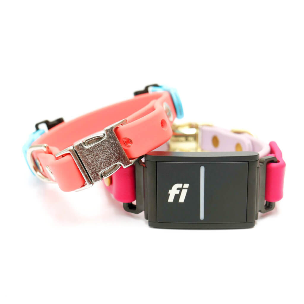 Fi Compatible Waterproof Dog Small Dog Collar - 5/8" Width