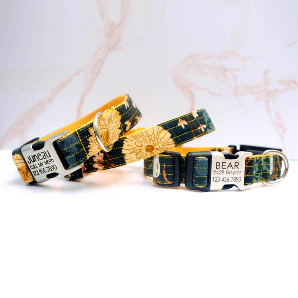 Canvas Dog Collars - Customize & Personalize | MimiGreen