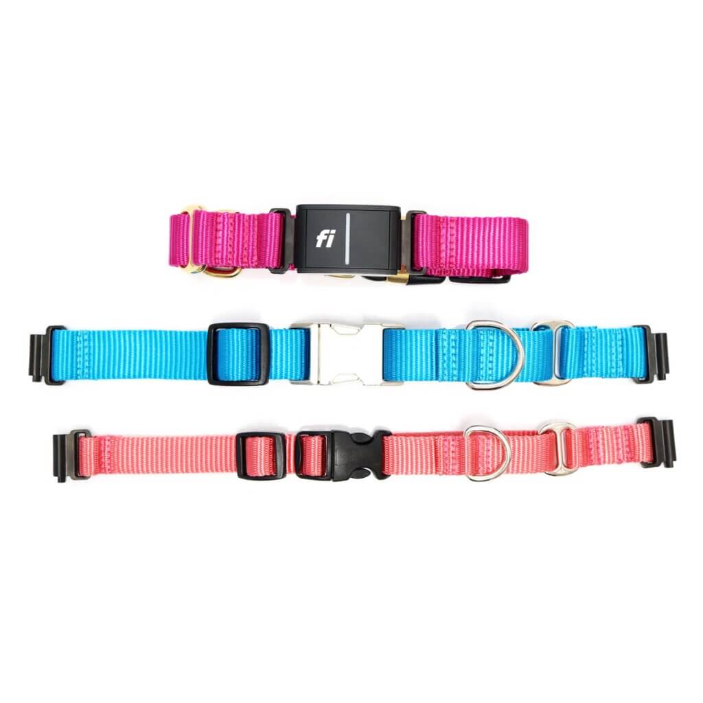 Quick Release Martingale Dog Collar | Fi Compatible | Nylon