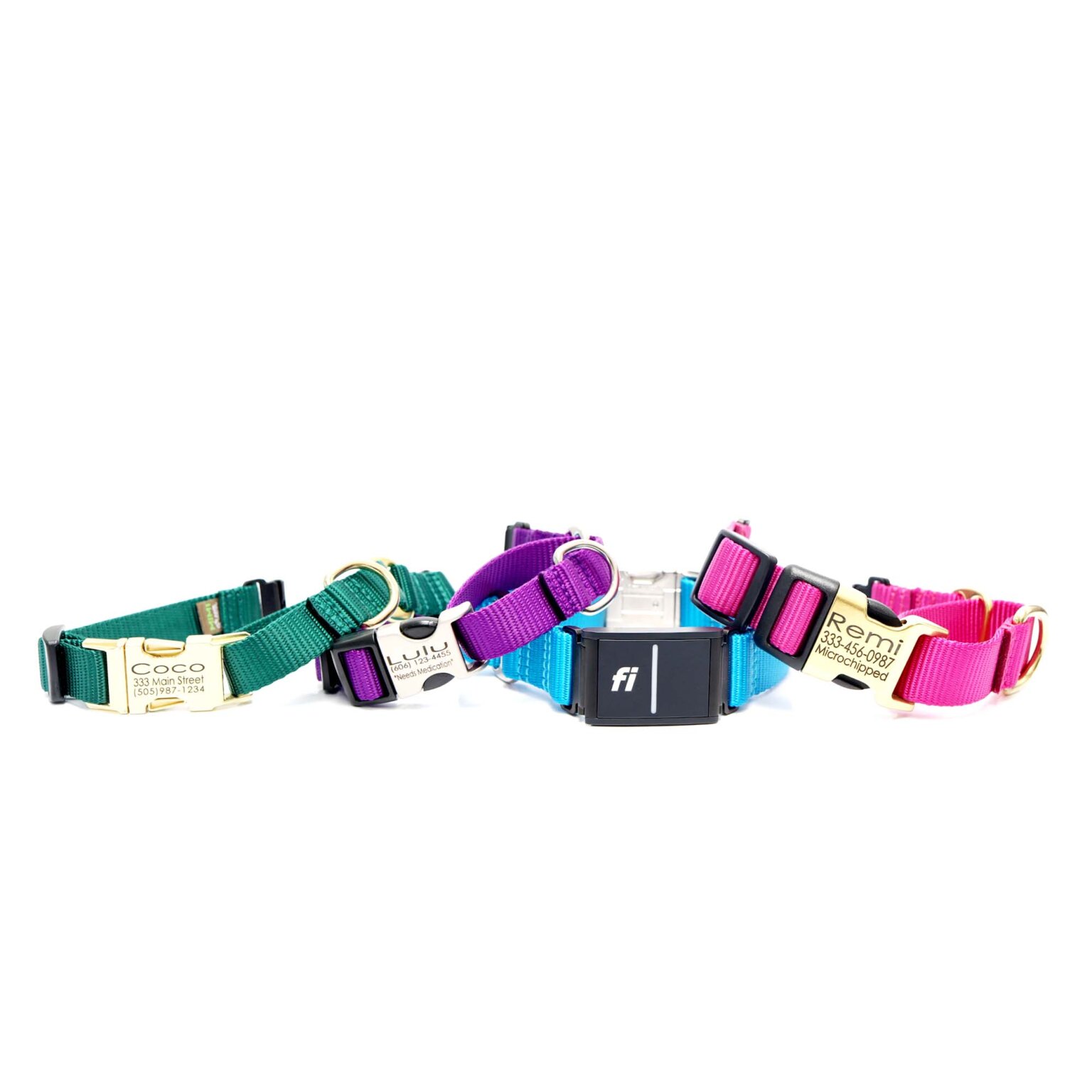Quick Release Martingale Dog Collar | Fi Compatible | Nylon