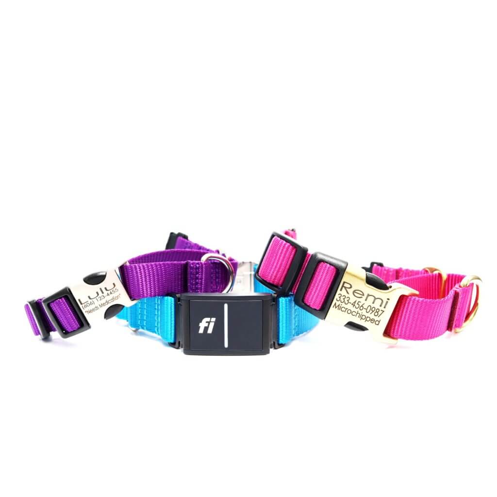 Quick Release Martingale Dog Collar | Fi Compatible | Nylon