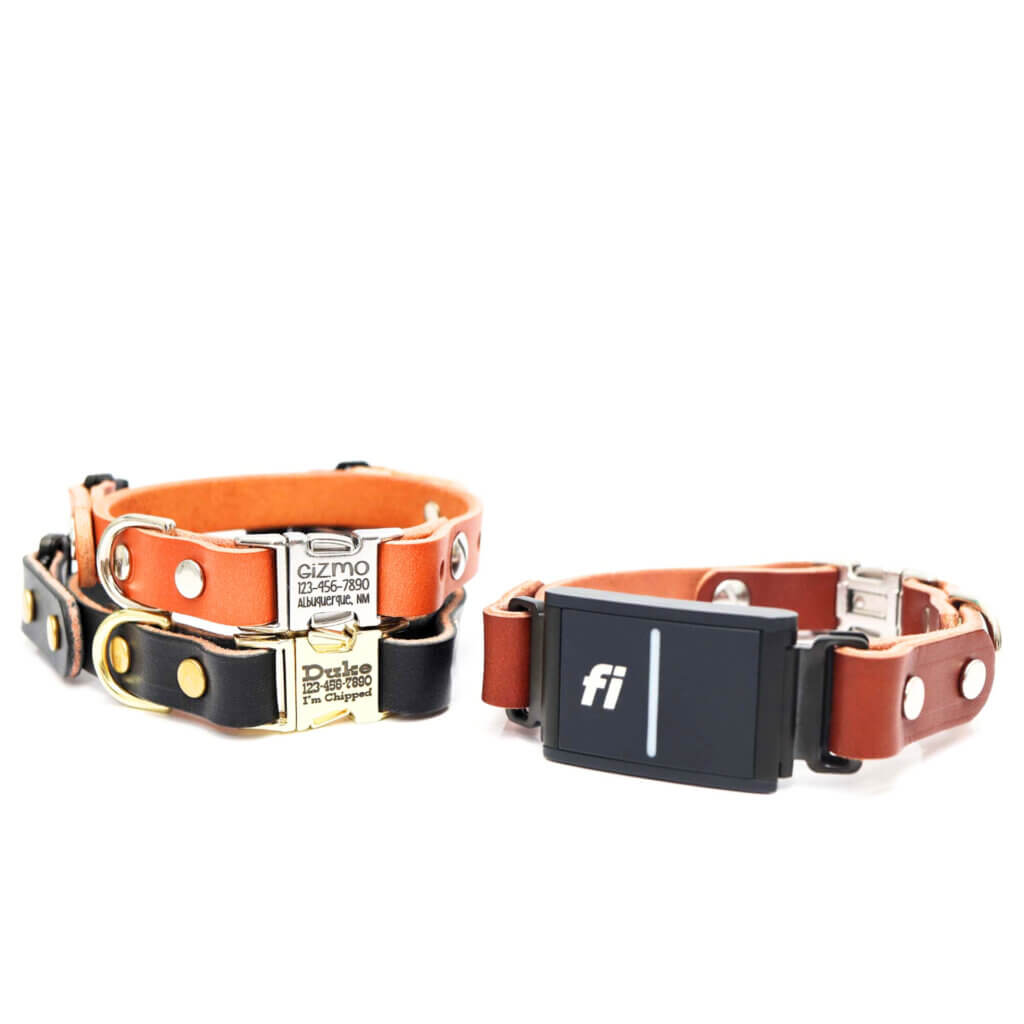 Quick Release Leather Dog Collar | Fi Compatible | Small Dog