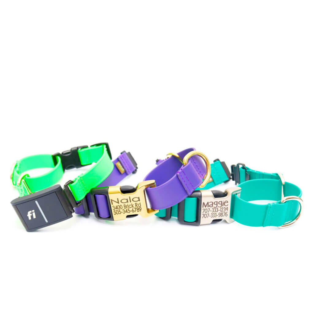 Fi Compatible Collars & Bands | Personalizable | Mimi Green