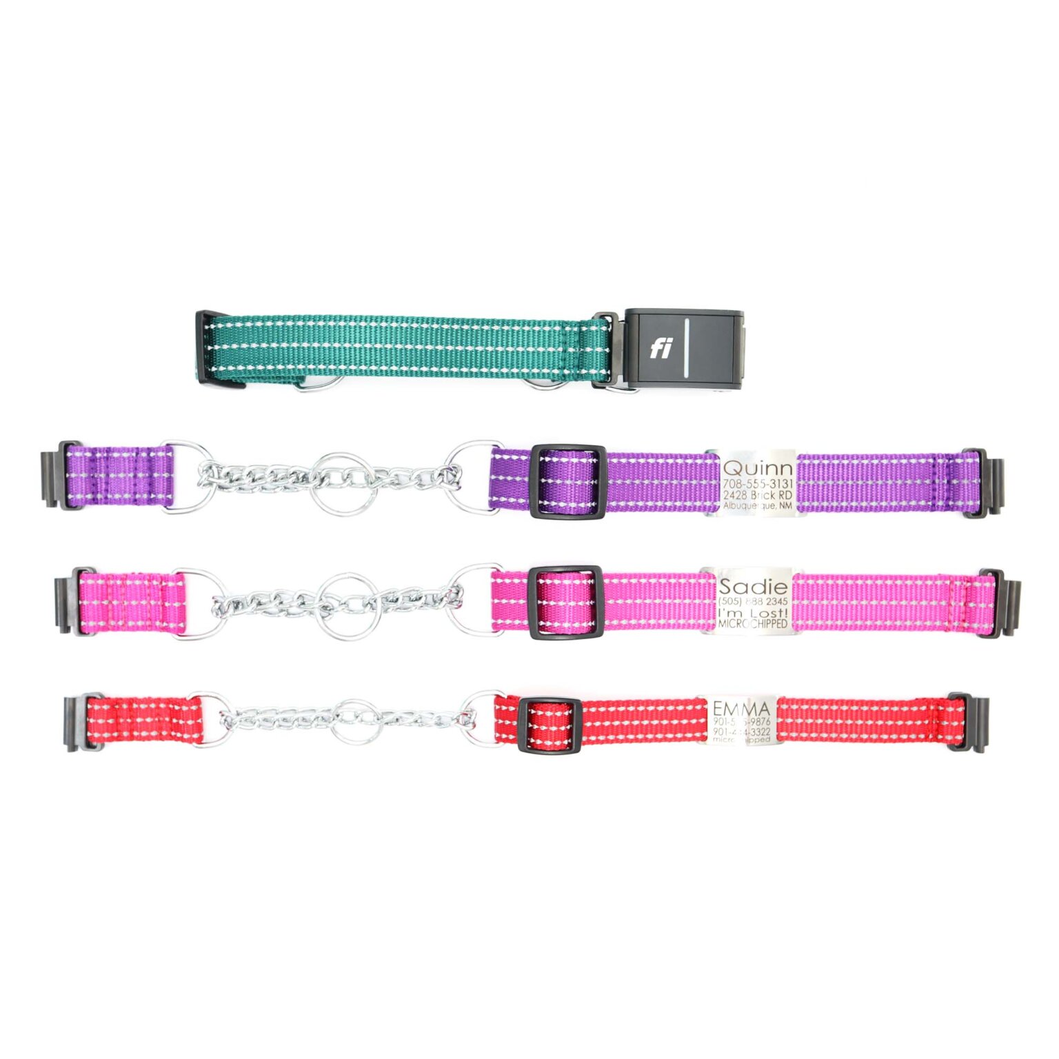 Fi Compatible Collars & Bands | Personalizable | Mimi Green