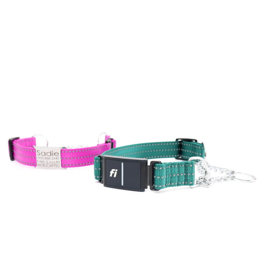 Fi Compatible Collars & Bands | Personalizable | Mimi Green
