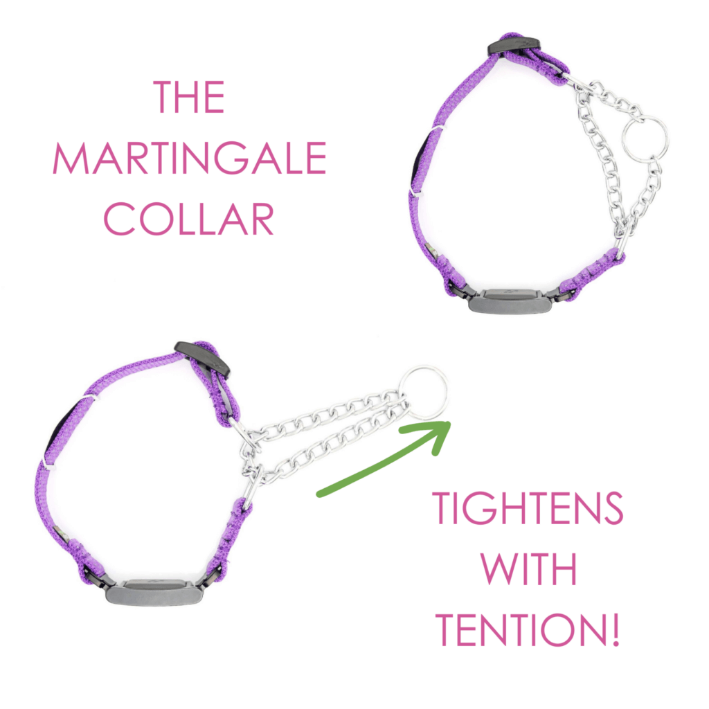 Fi Compatible Reflective Chain Martingale Dog Collar Optional Name Plate