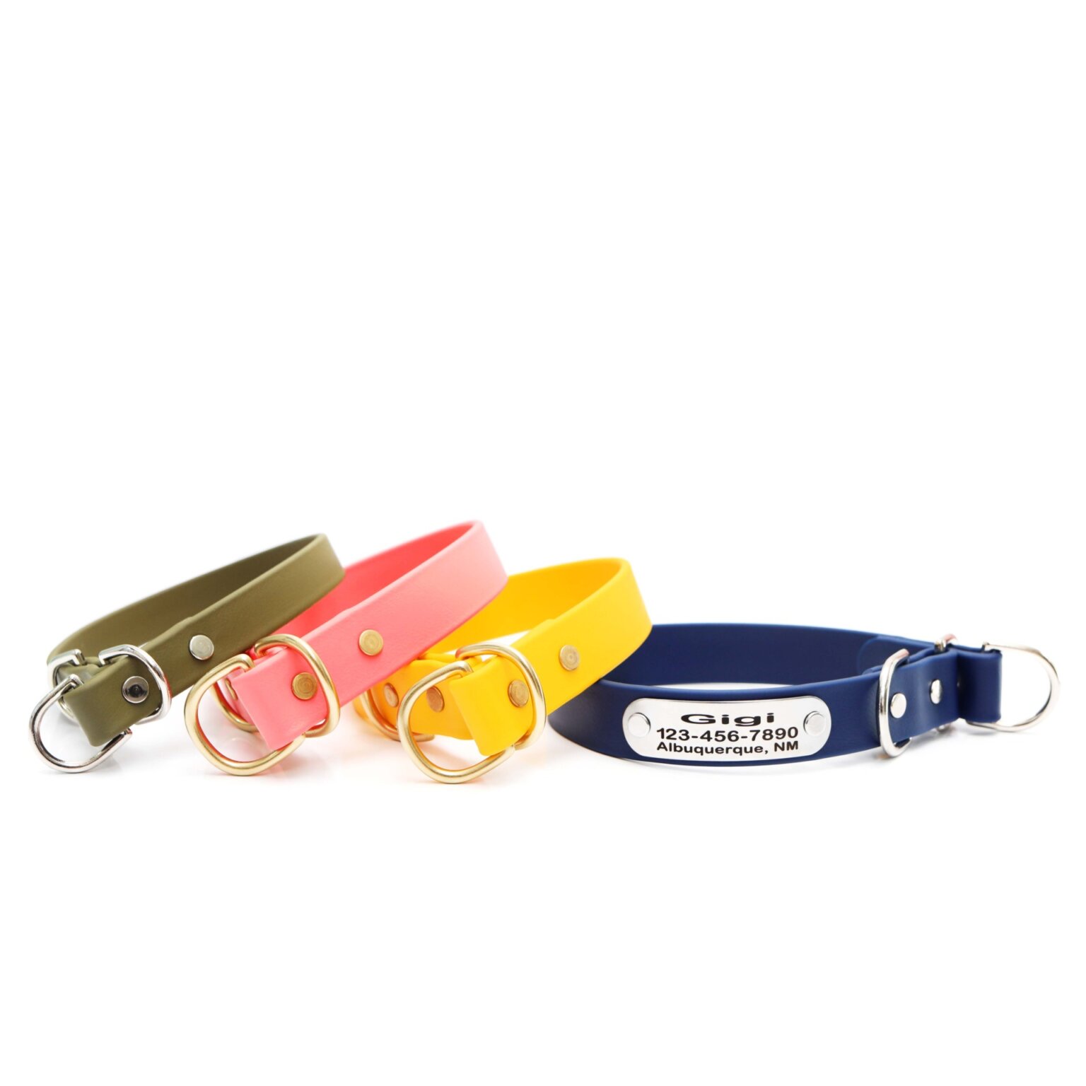Waterproof Biothane Slip Collar - Engraved Riveted Nameplate