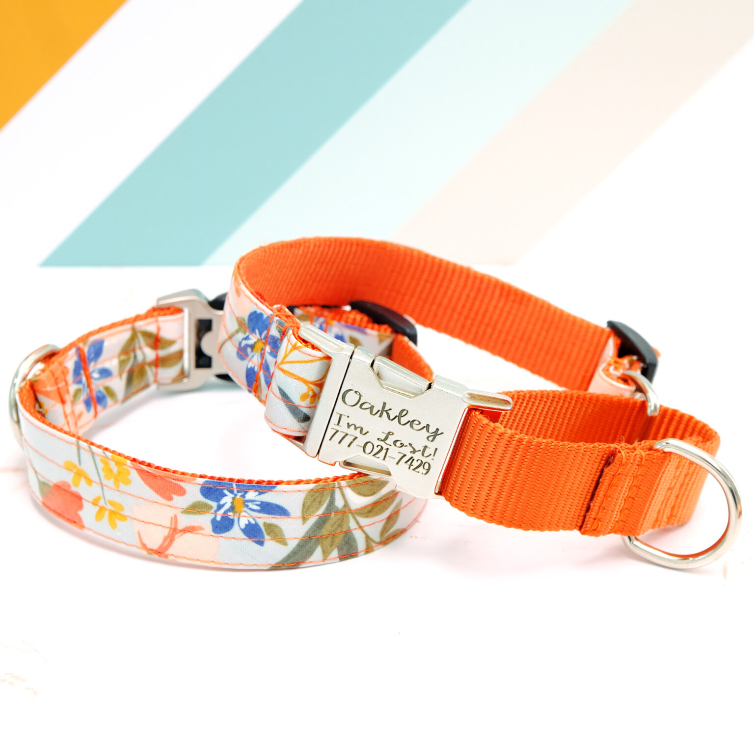Orange & Blue Floral Martingale Dog Collar | Shop Today