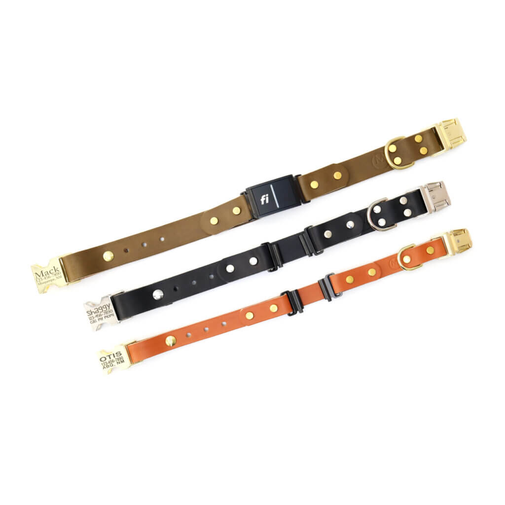 Fi Compatible Leather Dog Collar - Optional Engraving