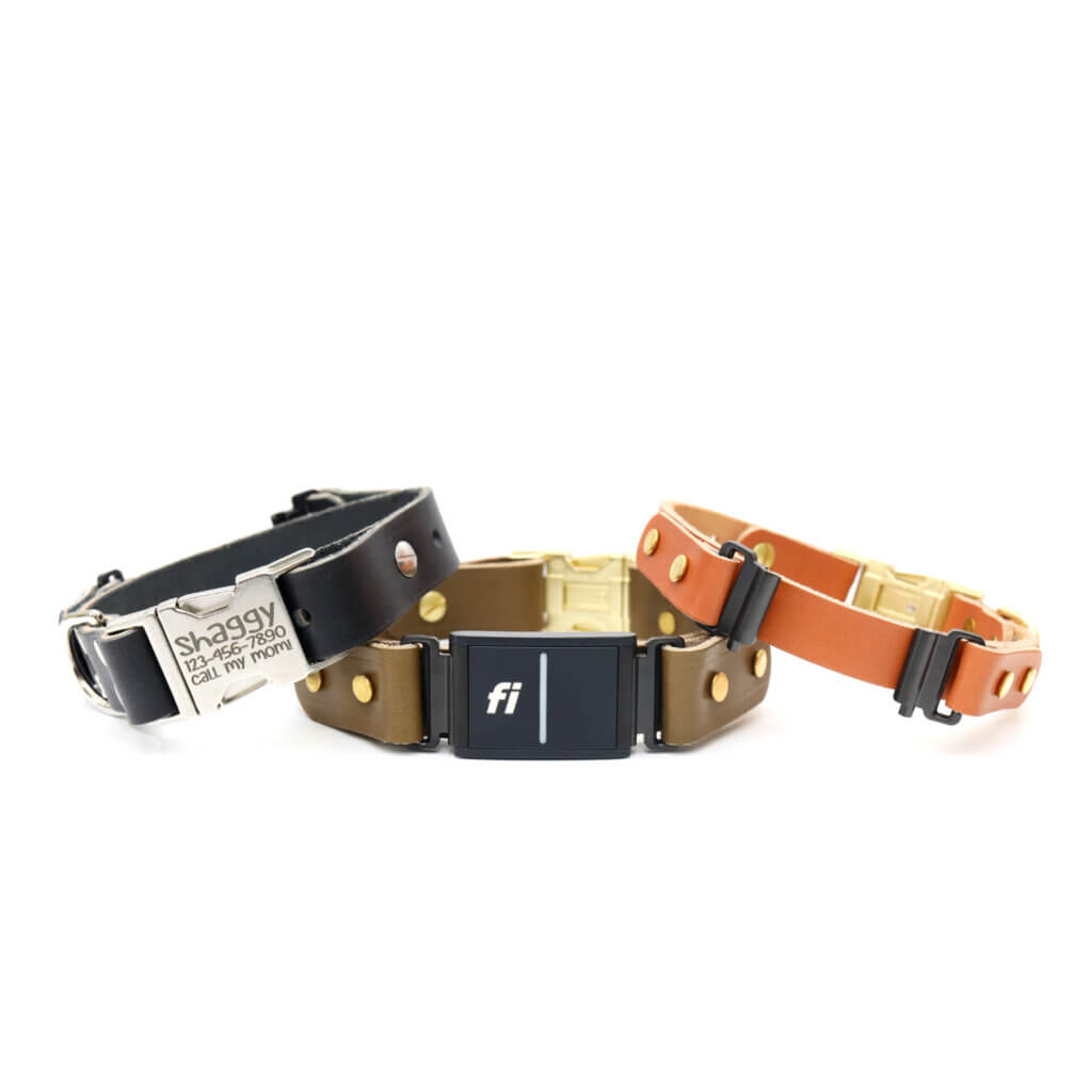 Fi Compatible Leather Dog Collar - Optional Engraving