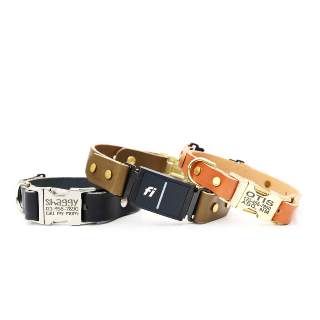 Fi Compatible Leather Dog Collar - Optional Engraving