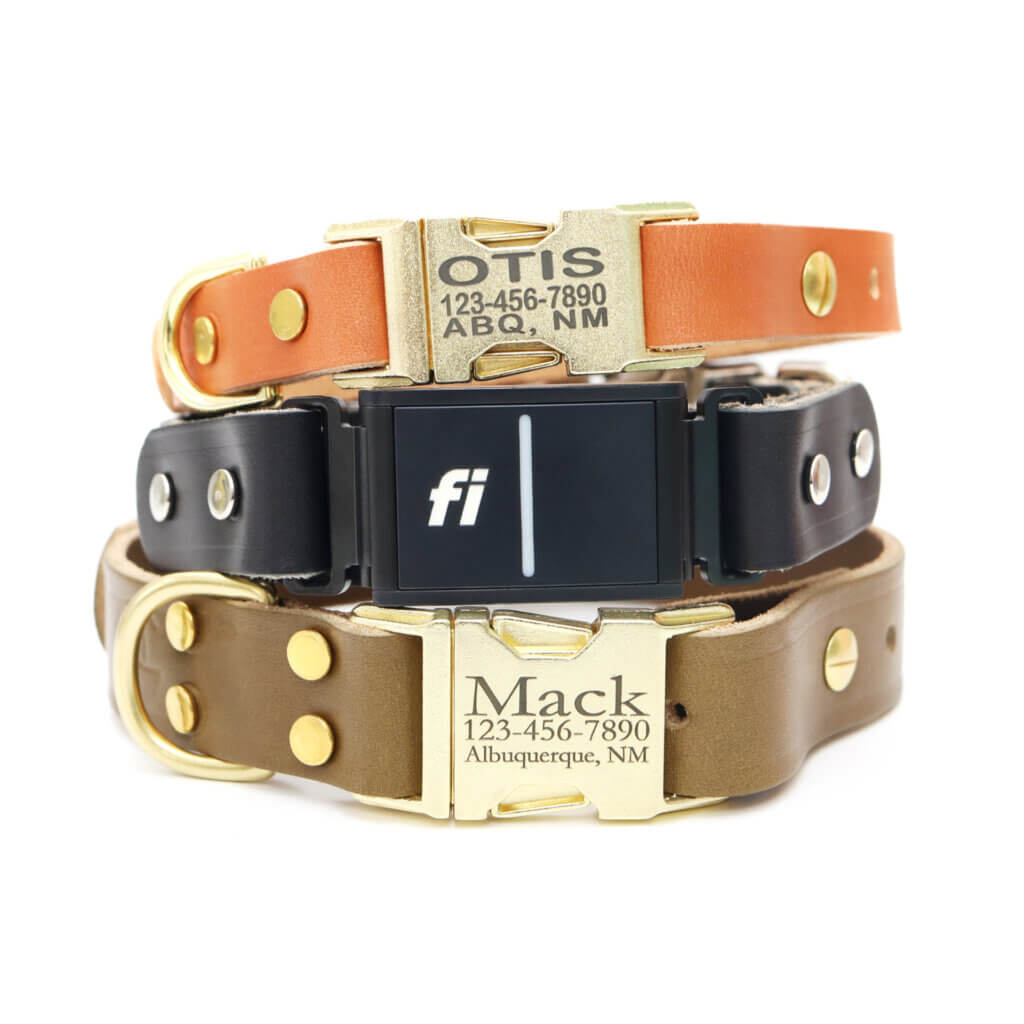 Fi Compatible Collars & Bands | Personalizable | Mimi Green