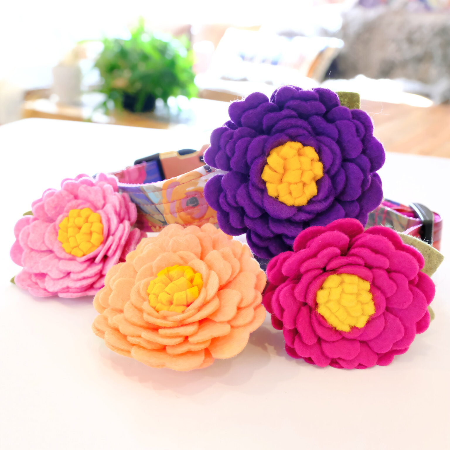 Dog Collar Flowers | Handmade by Mimi Green