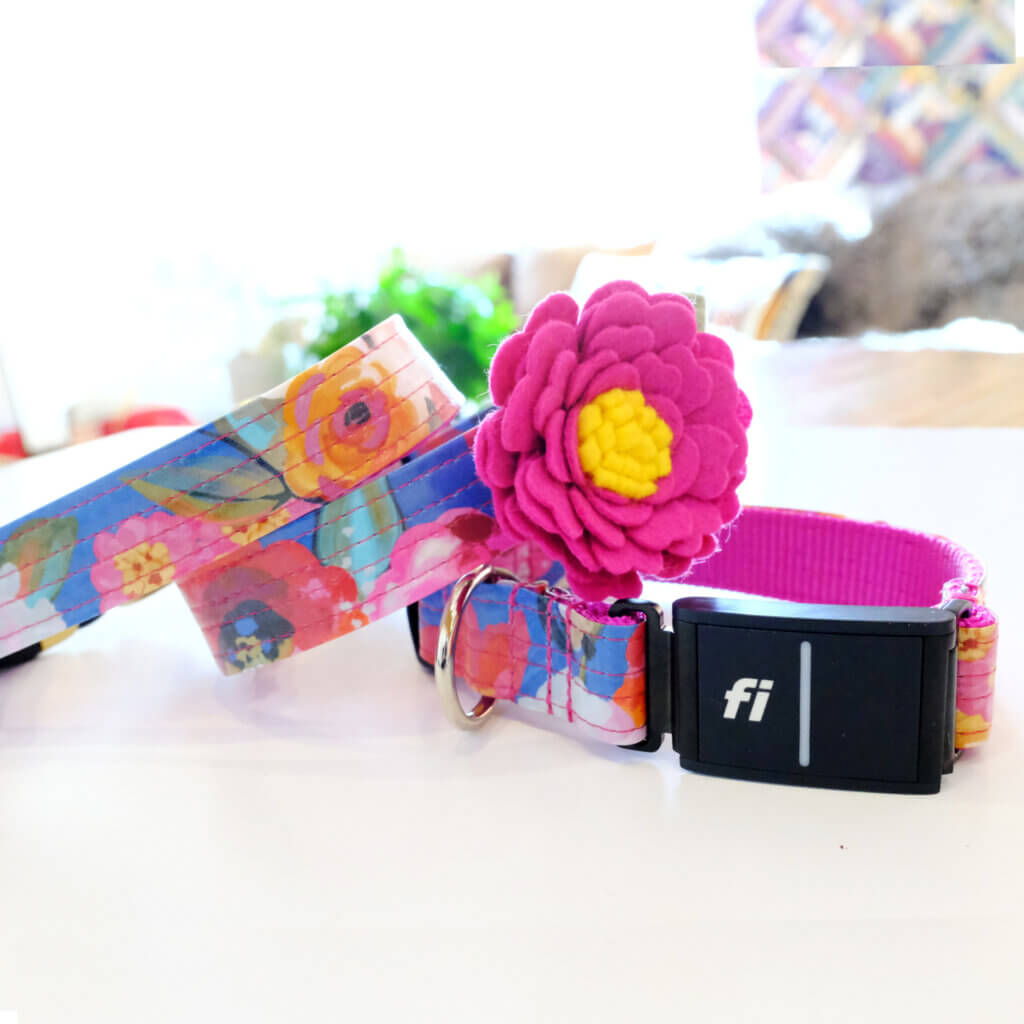 Laminated Cotton Fi Compatible Dog Collar