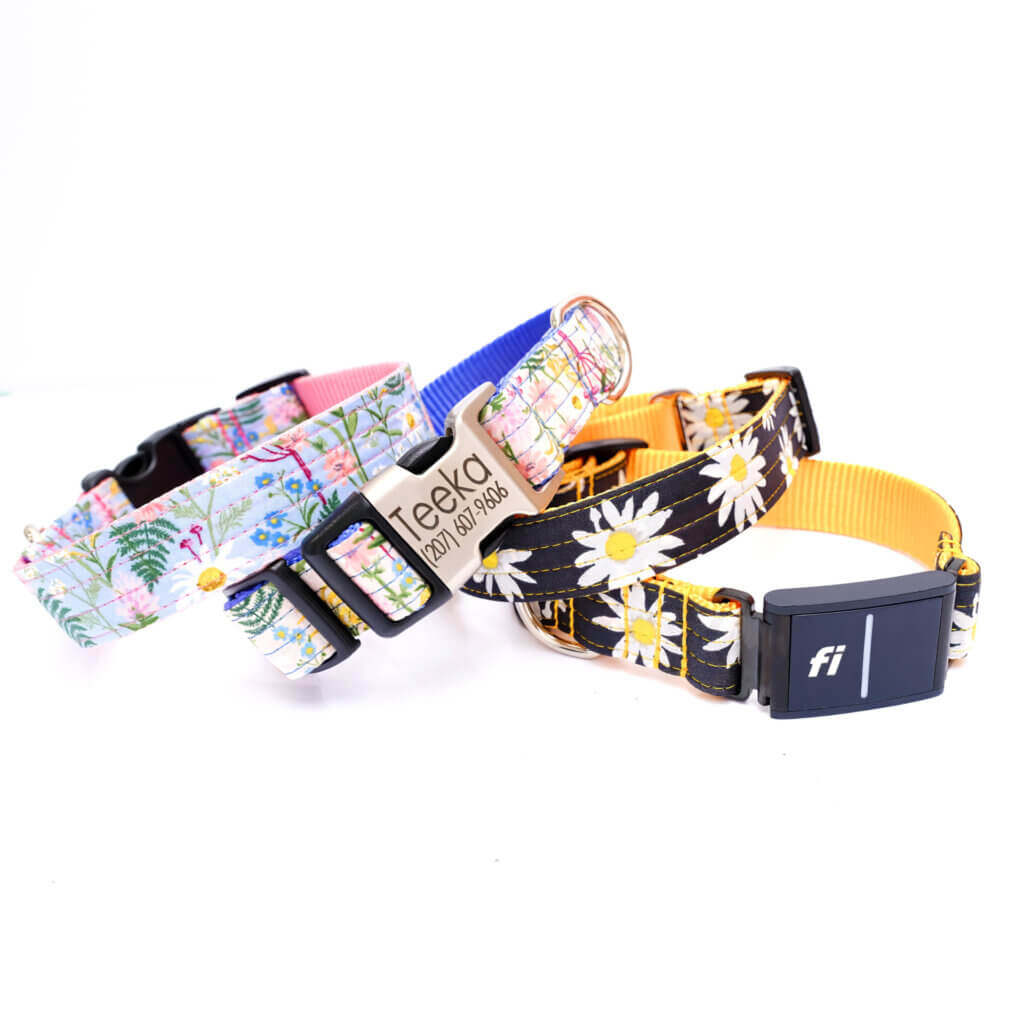 Fi Compatible Personalized Voile Dog Collar | Buy Online Today