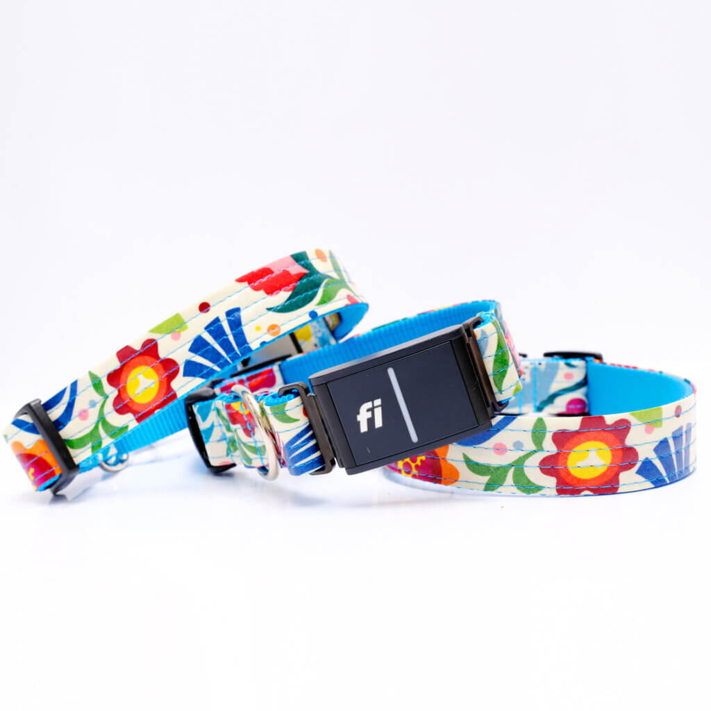 Laminated Cotton Fi Compatible Dog Collar