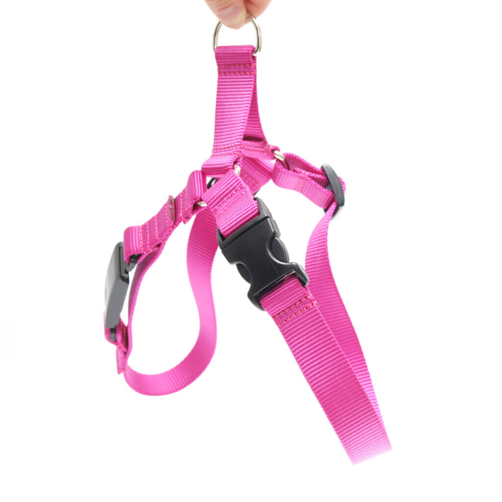 Fi Compatible Dog Harness - Easy On Nylon