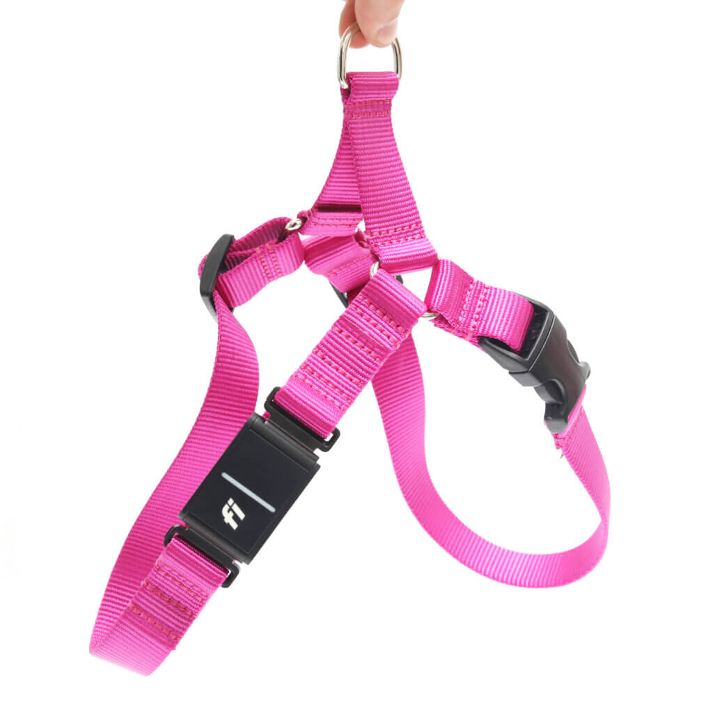 Fi Compatible Dog Harness - Easy On Nylon