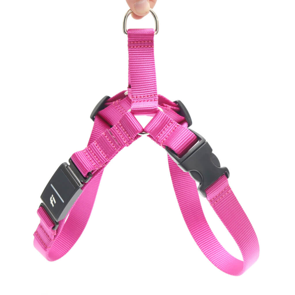 Personalized & Custom Dog Harnesses - Shop 100s of Styles