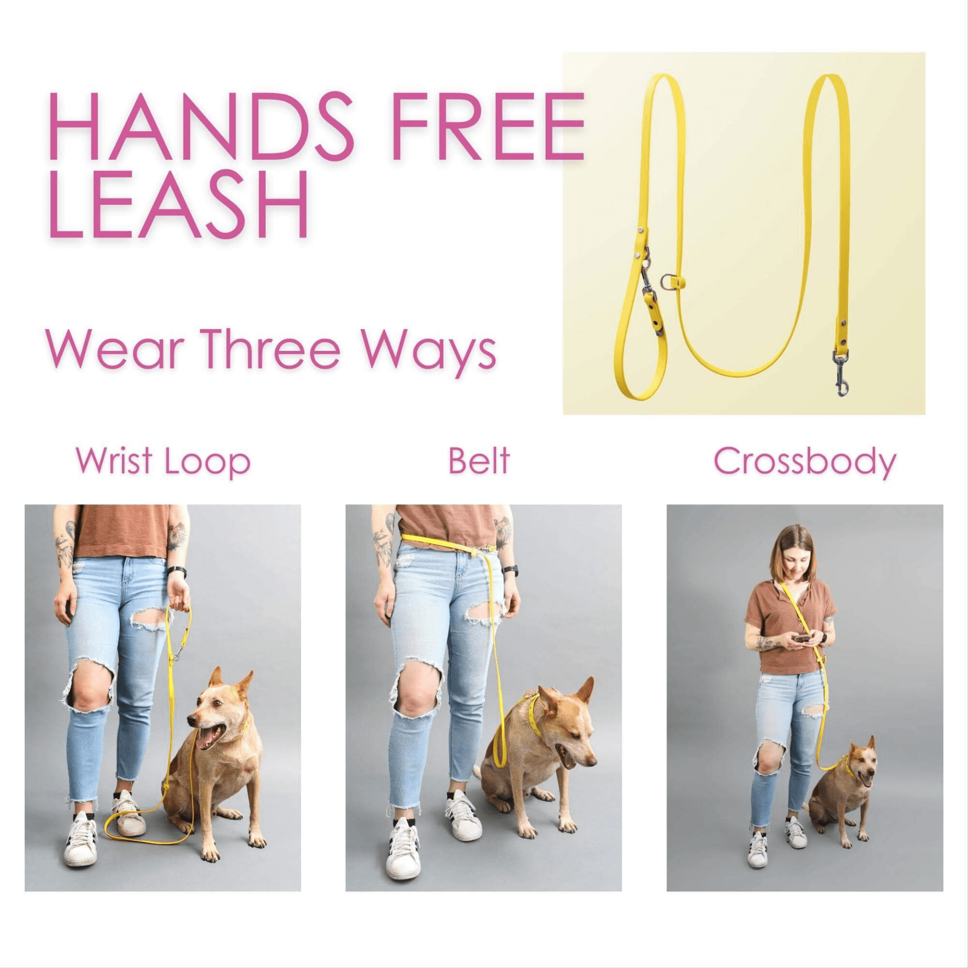 Best Leashes for Dogs That Pull: Top Choices 2025
