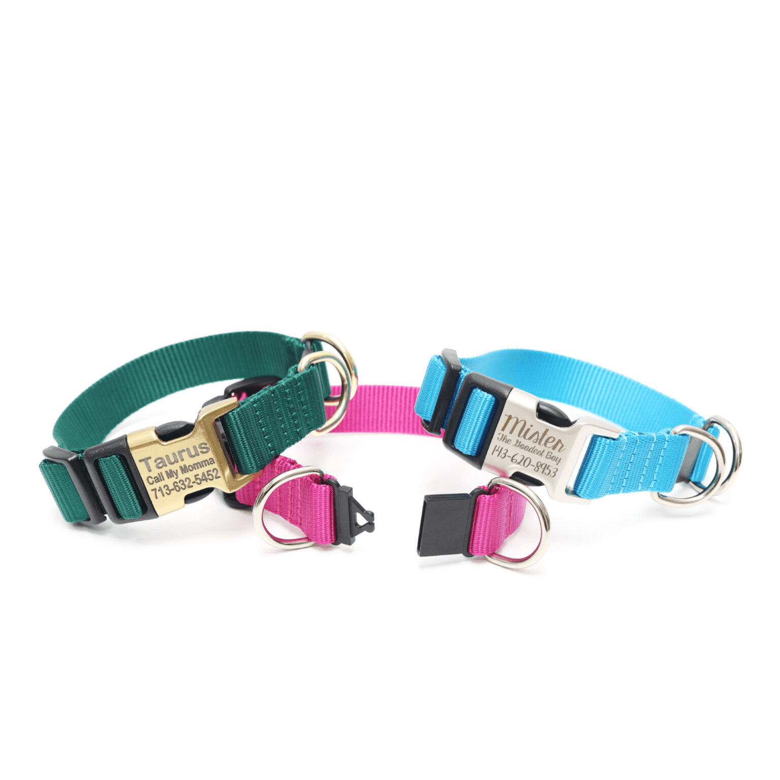 What Is a Breakaway Dog Collar? Safety, Use & Key Differences