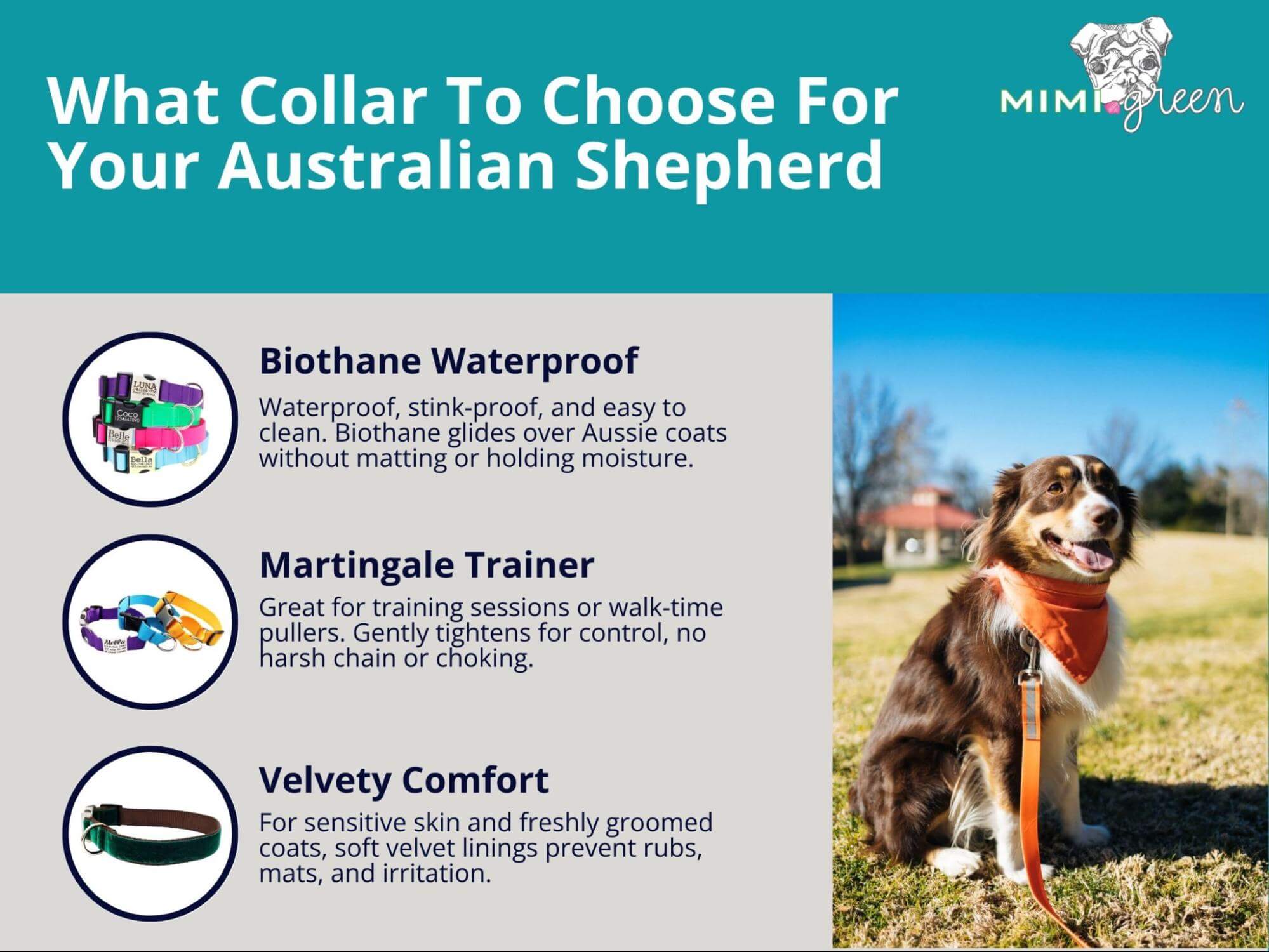 Best Collars for Australian Shepherds | Handmade Comfort & Style