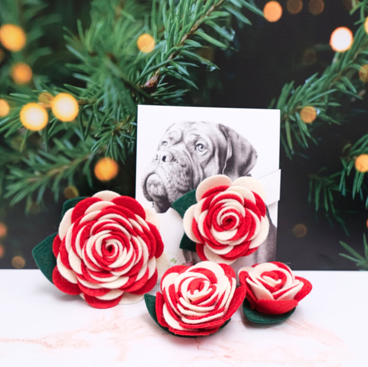 Carnation Flower for Dog Collar | Red & White | Peppermint