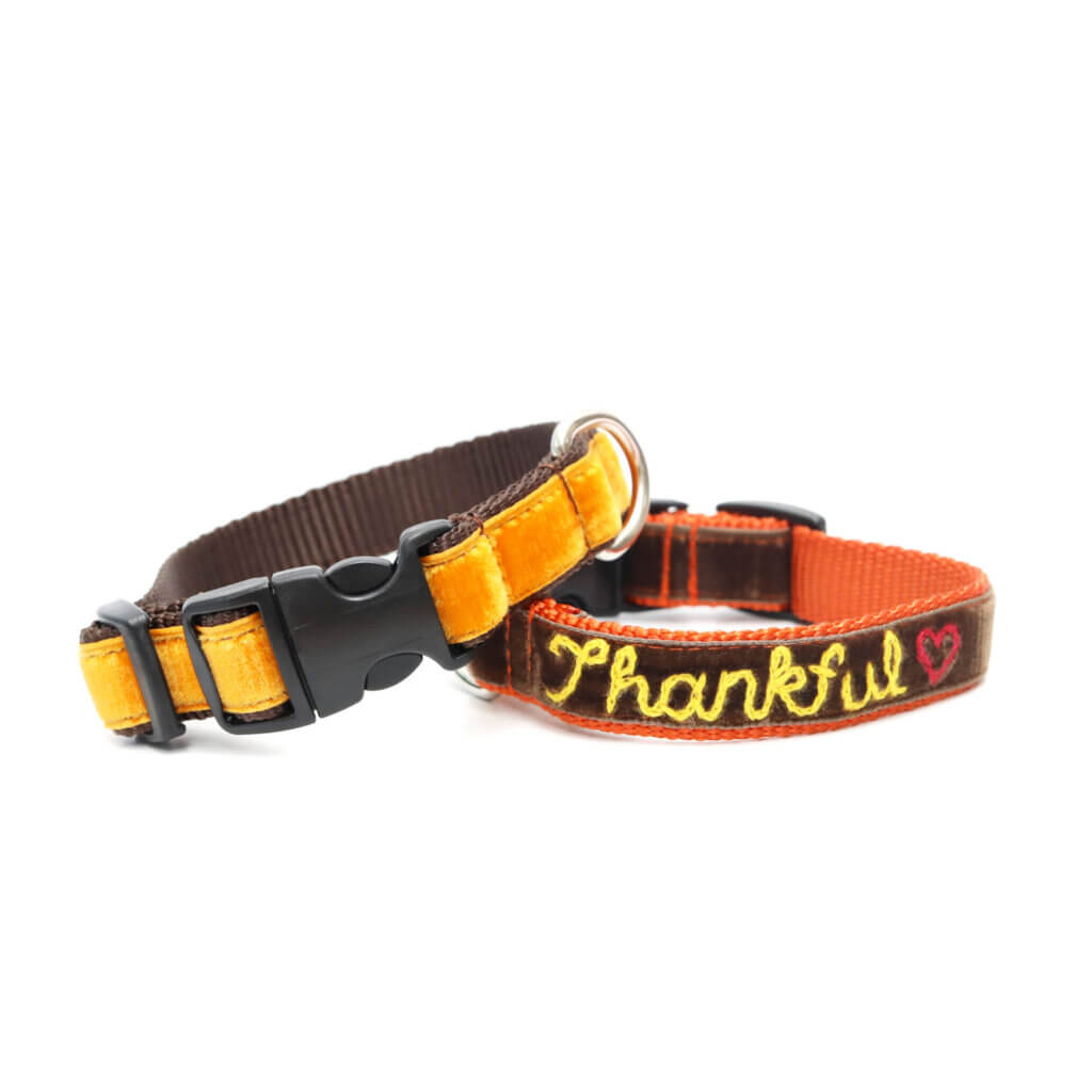 Thanksgiving Dog Collar | Embroidered Velvet, Thankful