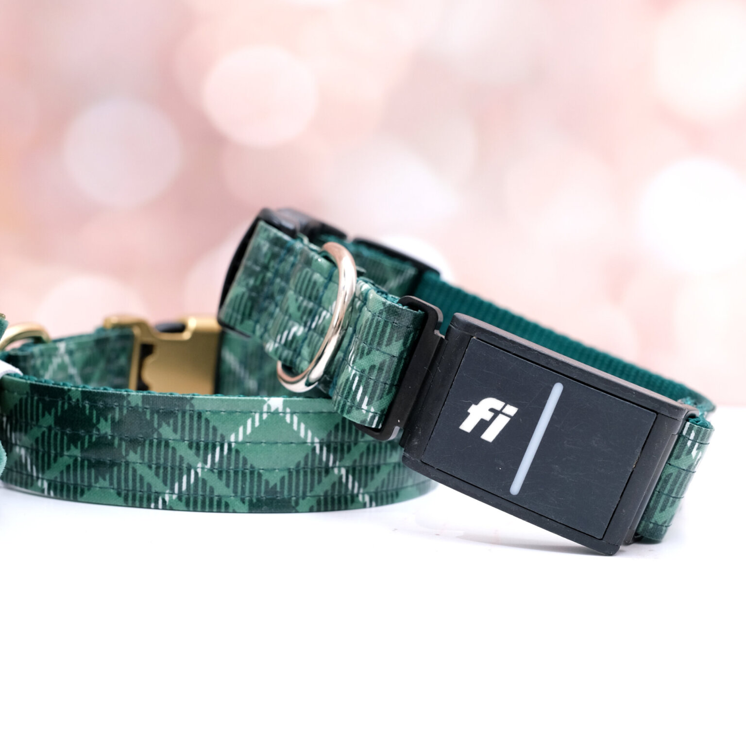 Fi Compatible Collars & Bands | Personalizable | Mimi Green
