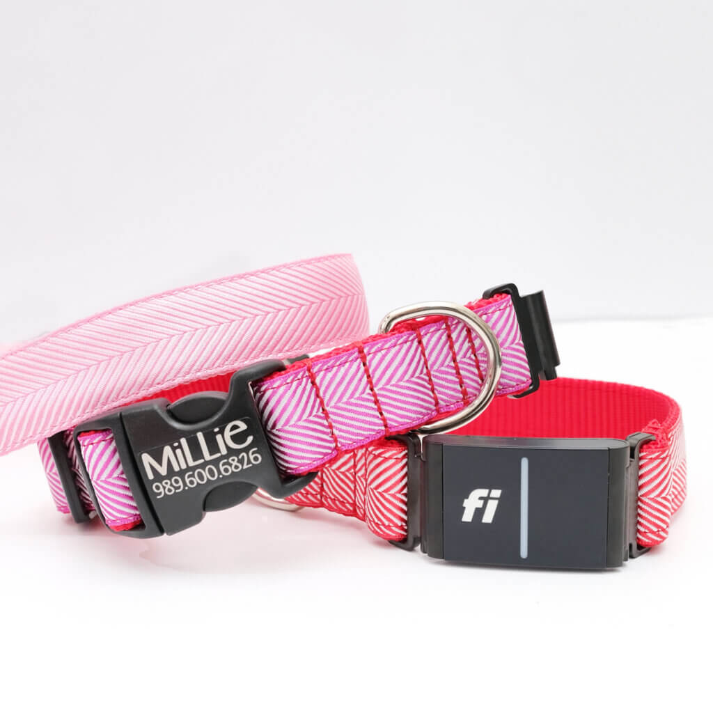 Valentines Dog Collars | Fi Compatible | Herringbone Red & Pink