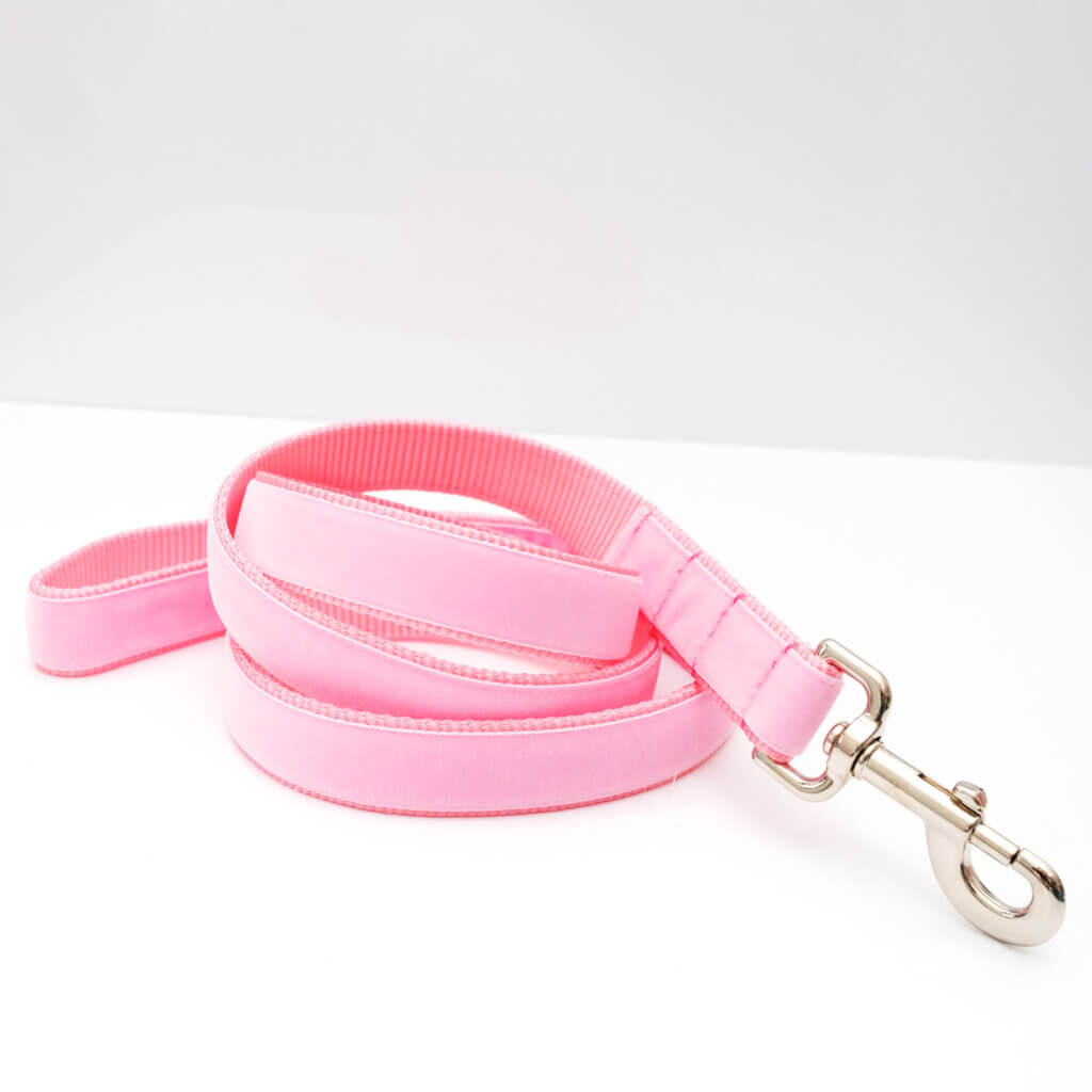 Designer Dog Leashes | Pattern, Material & Size Options