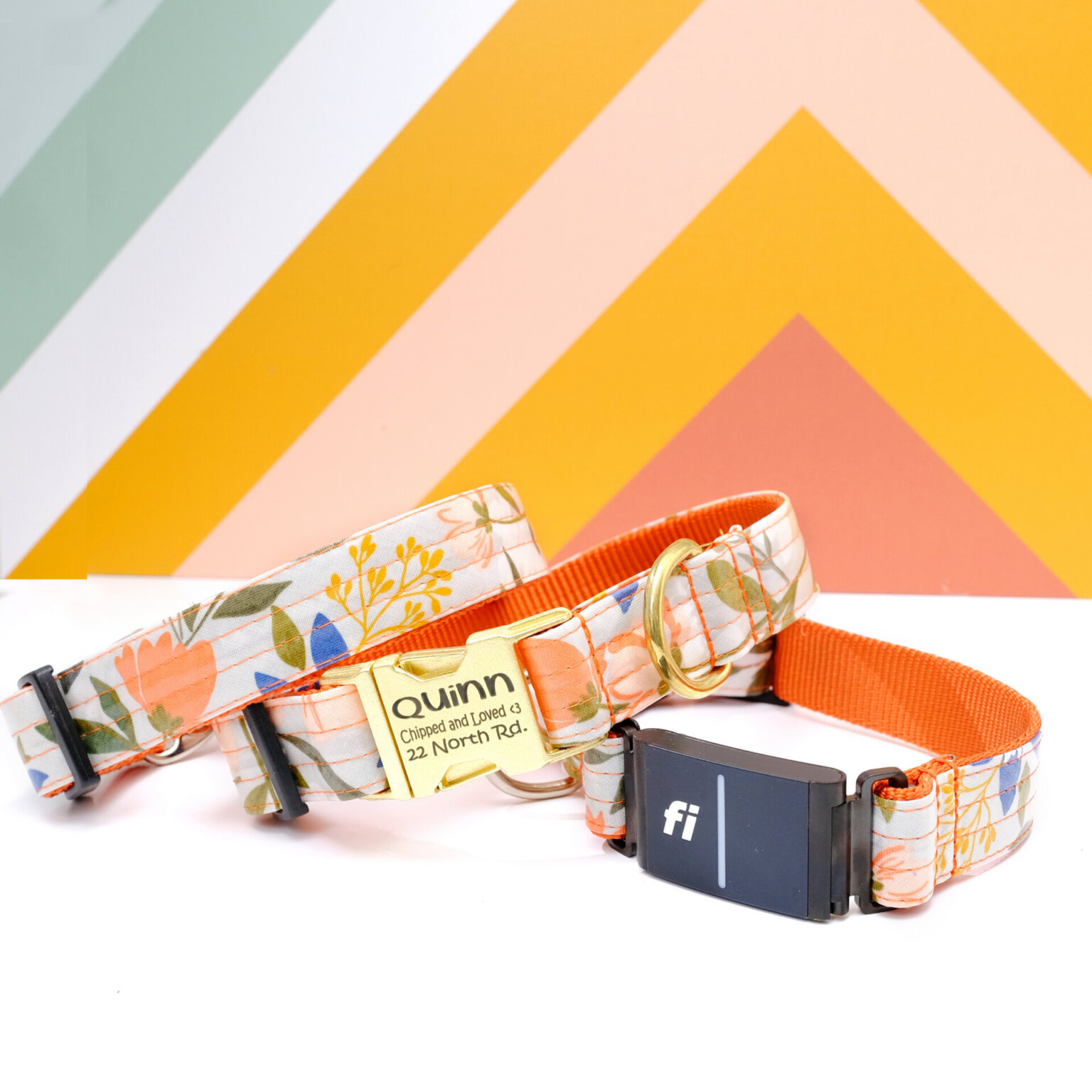 Flourish Floral Fi Compatible Laminated Cotton Dog Collar