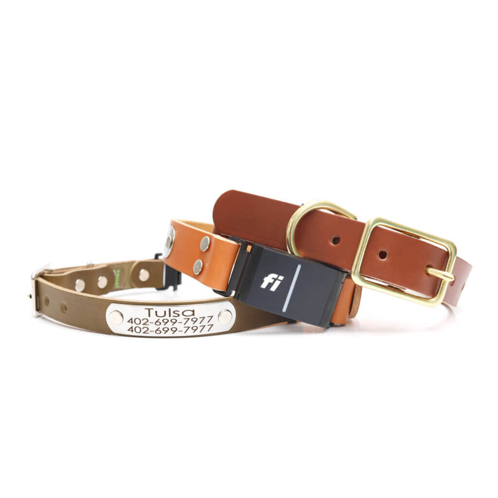 Leather Fi Compatible Belt Buckle Dog Collar | In Line | Series 3/3+