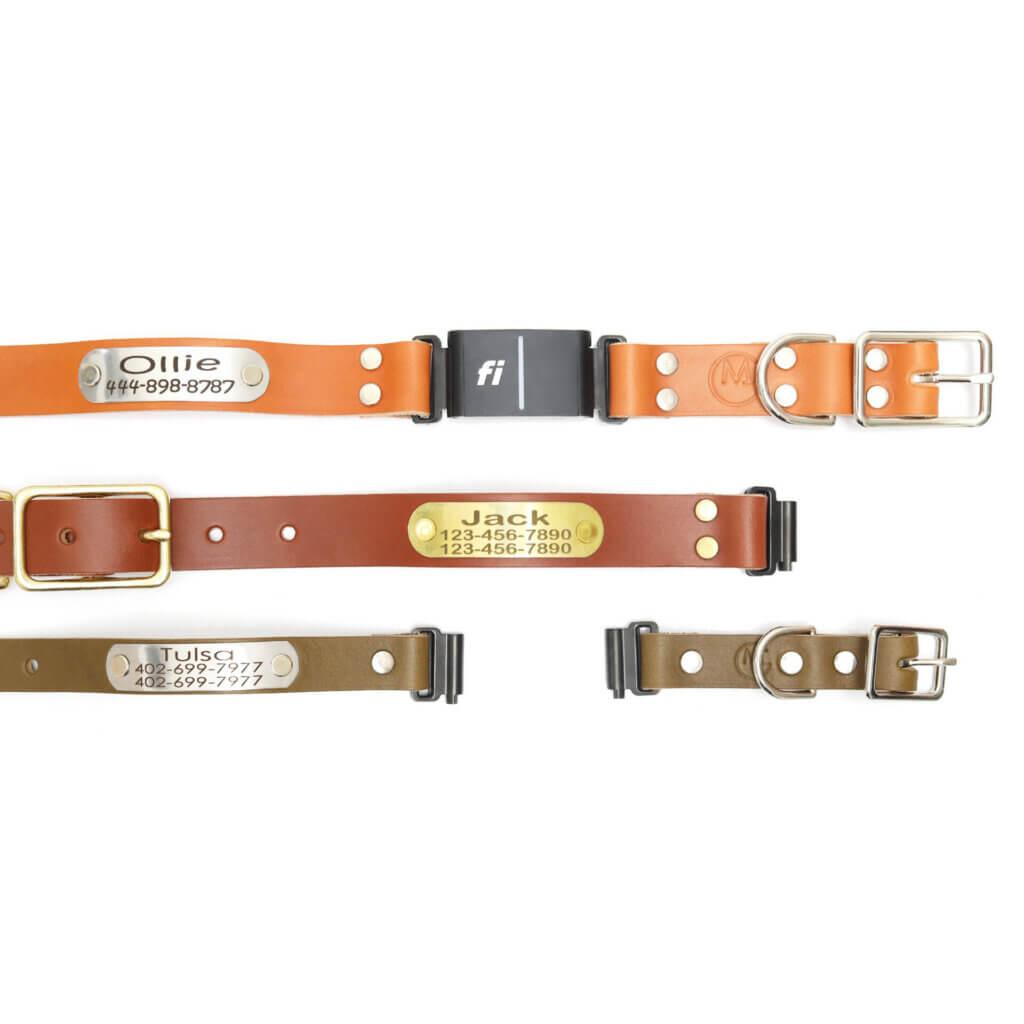 Leather Fi Compatible Belt Buckle Dog Collar | In Line | Series 3/3+